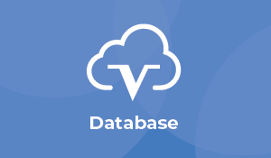 Database Professional Services